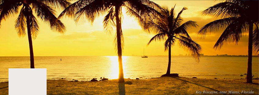 FB Covers miami sunset ~ Cover Facebook timeline