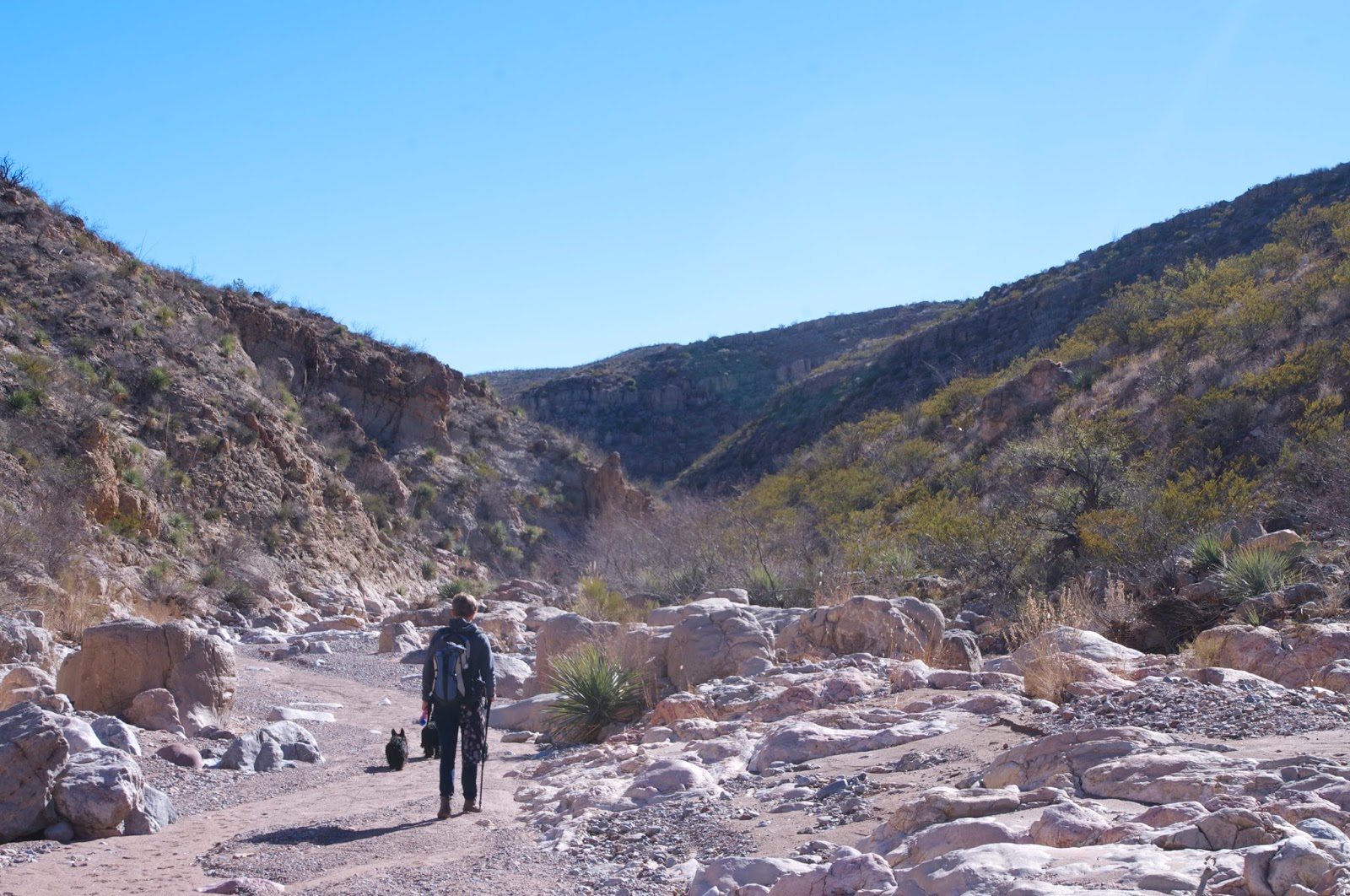 Southern New Mexico Explorer: Green Canyon Box- Caballo Mountains