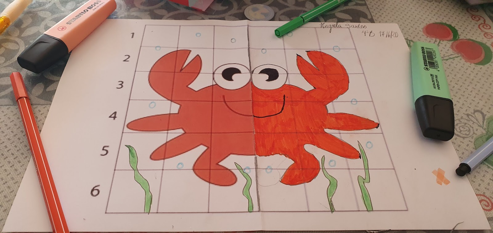 CARAZONY 4º B: ANIMALES SIMÉTRICOS