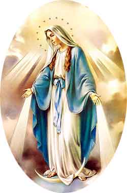 Hail , Holy Queen!: The Crown of Twelve Stars Devotion