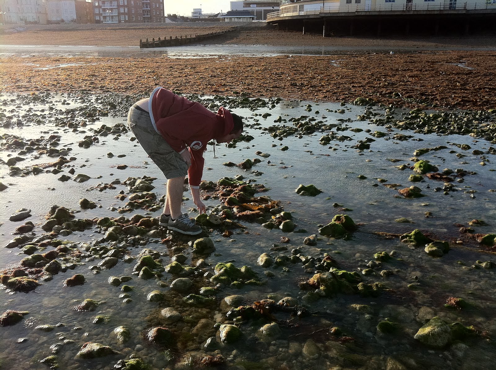 American AngloFUN: Observations of a professional TV watcher