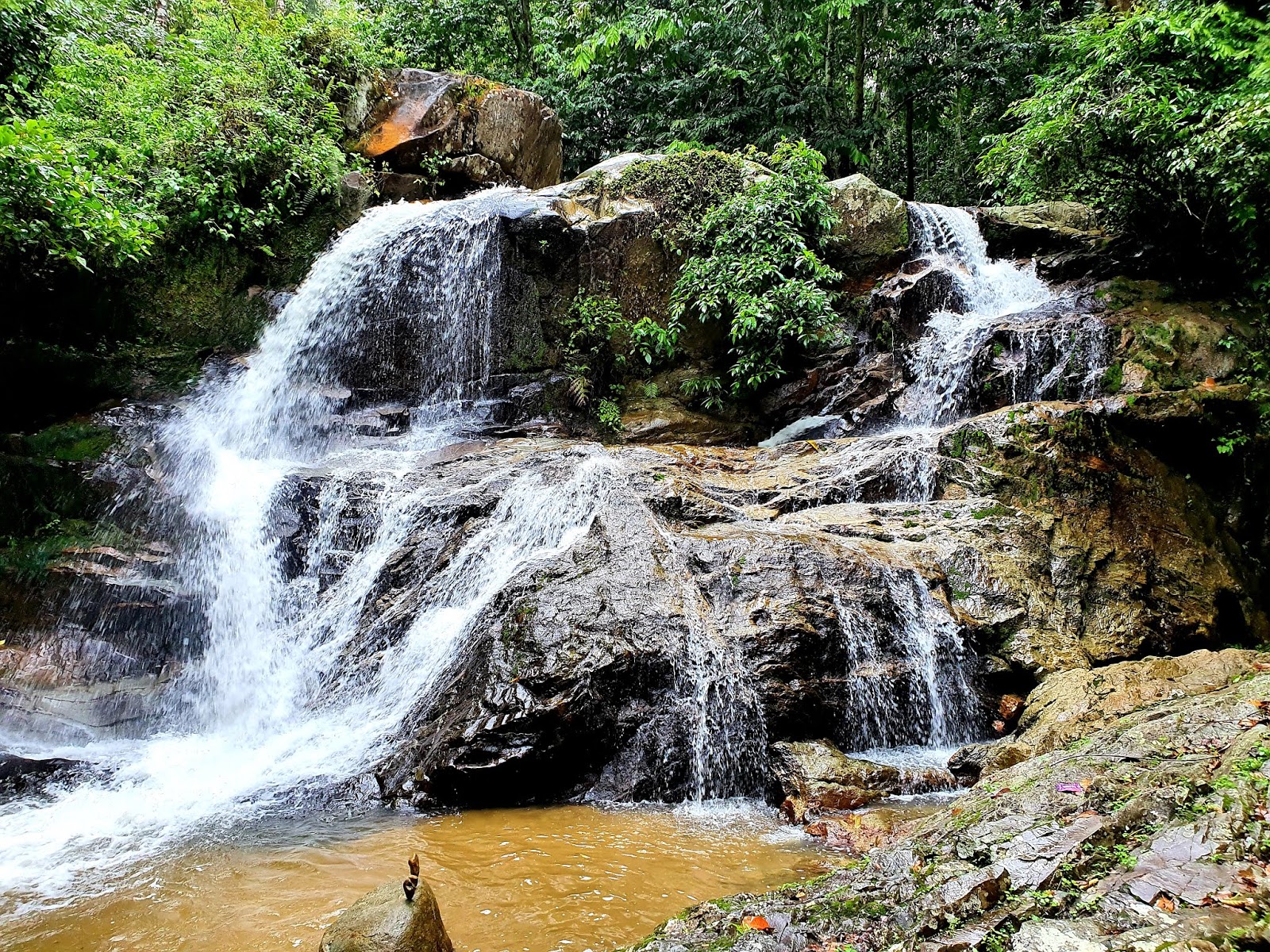 Jeram Tengkek,Video