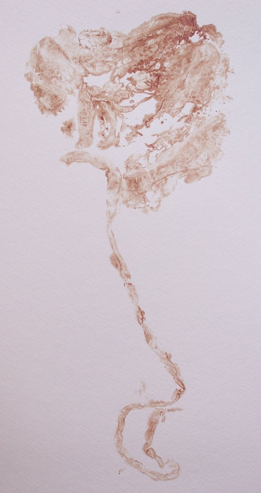 Northern Colorado Placenta Services: Placenta Prints