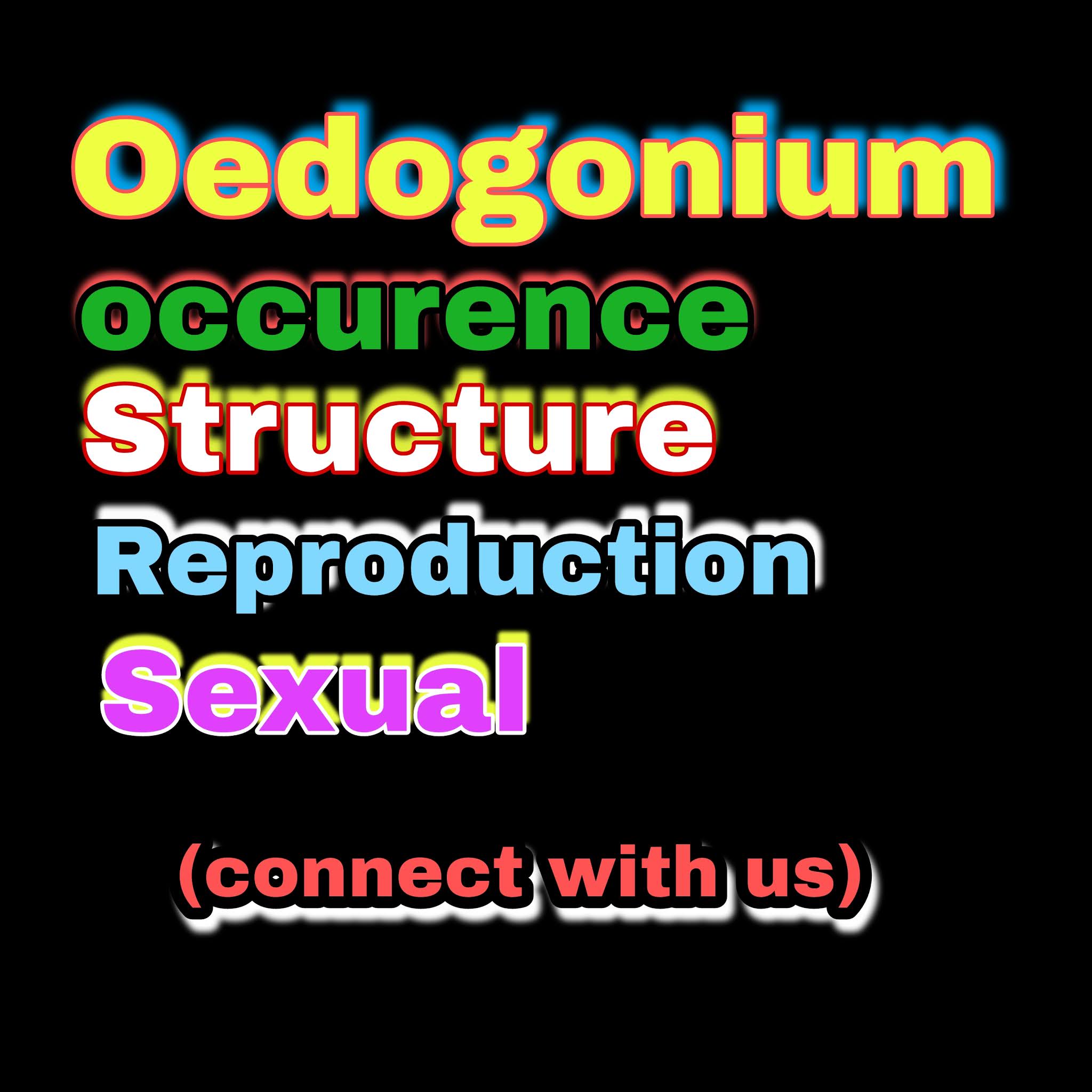 Oedogonium Occurrence Features And Reproduction