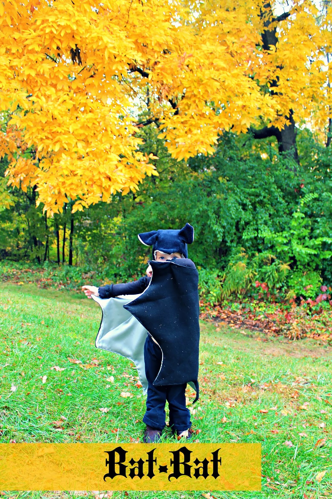 Freshly Completed Halloween Costume 2013 What Does The Bat Say freshly-completed-halloween-costume-2013-what-does-the-bat-say