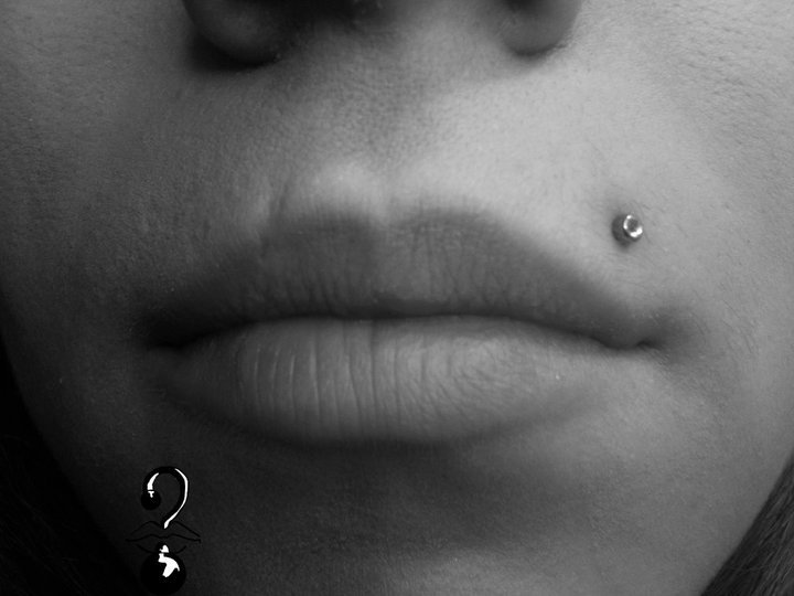 (e.u.r.l.) Absolut Piercing: Book piercing
