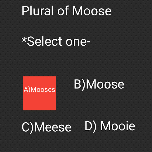 Plural Of Moose Plural For Moose What Is The Plural Of The Word Moose 