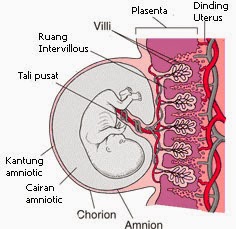 Nur Azizah "Midwife": April 2015