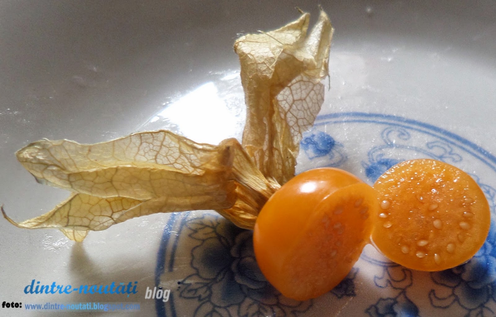 Physalis fruct | D-Nblog. Păreri sincere despre produse noi.Testez ...