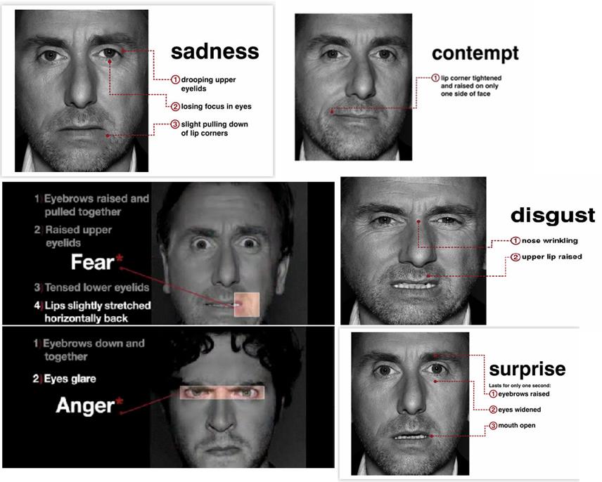 tamee mytha: MICRO EXPRESSION