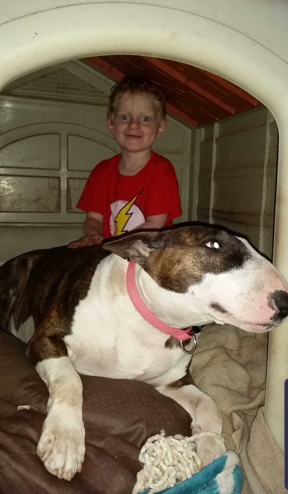 Raising My Little Superheroes : Just a dog named Ruby.