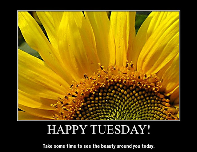 Gem Magazine Long Island Inspiration & Empowerment