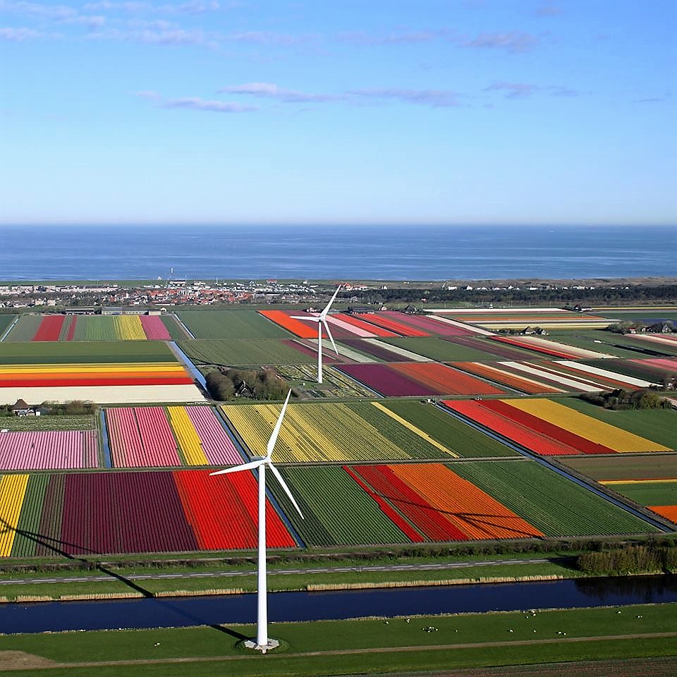 Dorpen en Steden van Nederland: Petten (Noord-Holland)