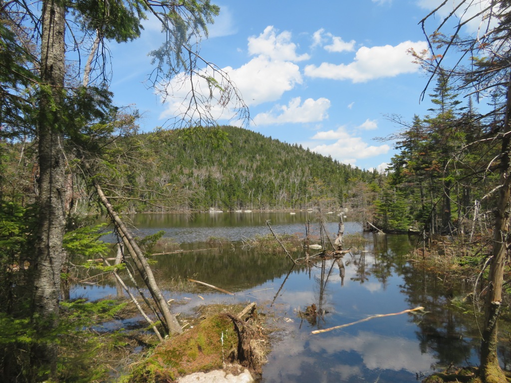 Mountain Wandering: Adirondacks: Cooper Kiln Pond & Morgan Mountain 5/20/21