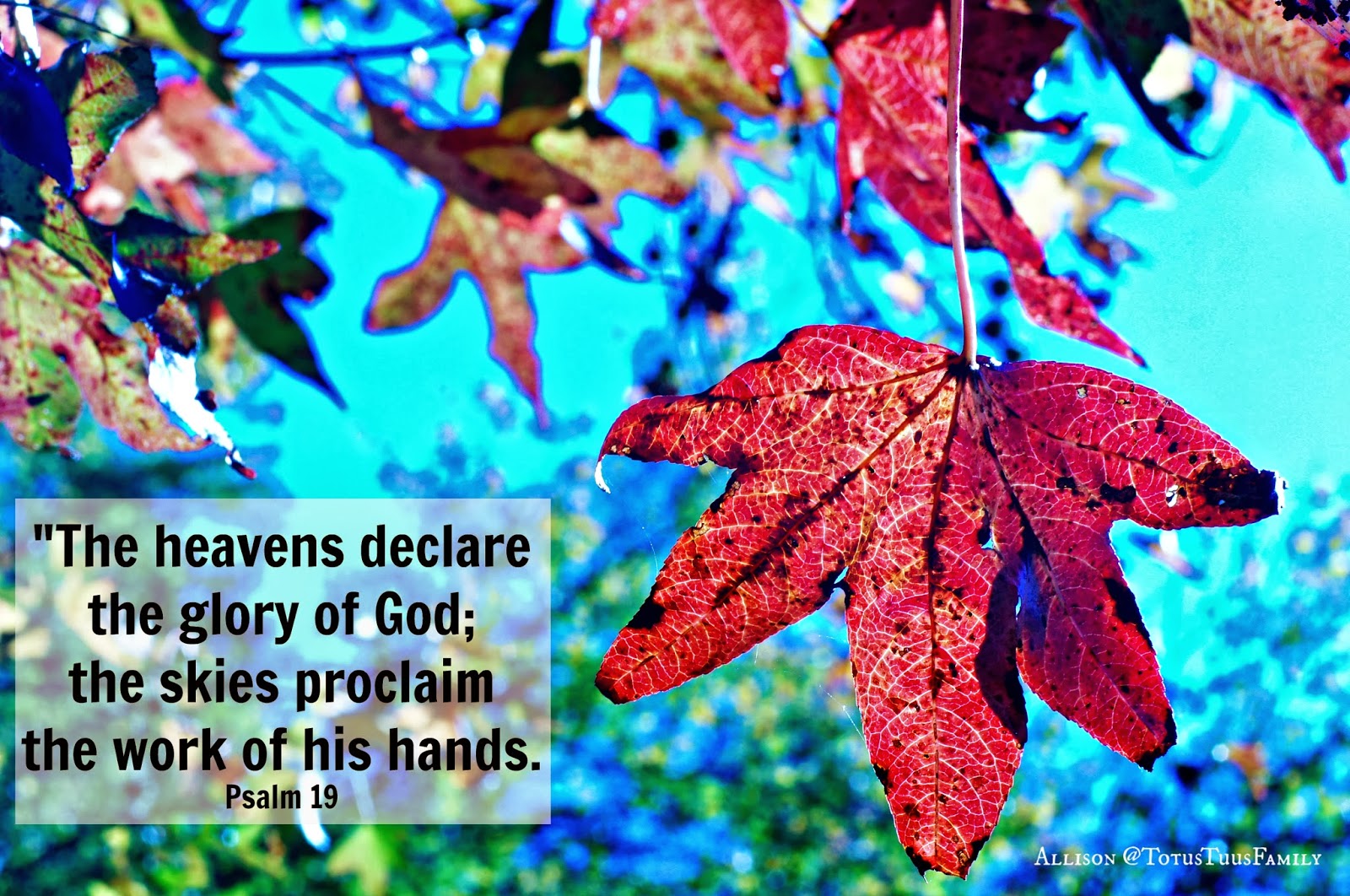 Fall Photos & Quotes - Totus Tuus Family & Catholic Homeschool