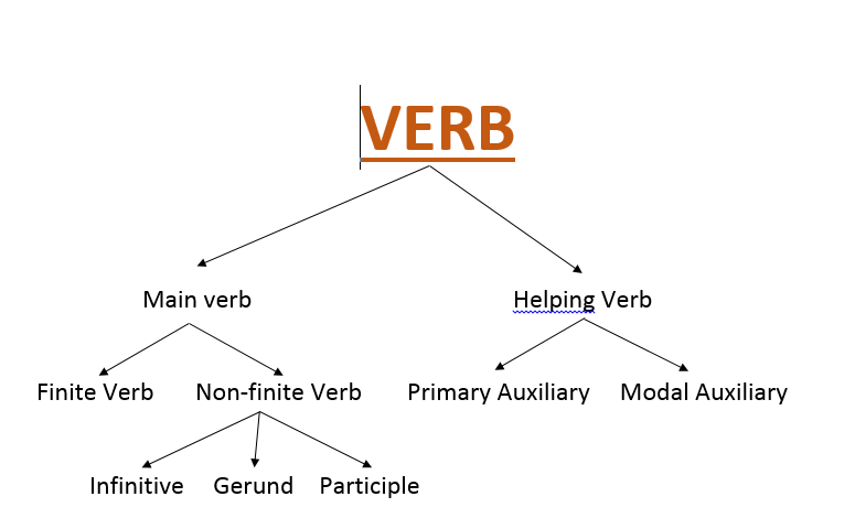 Important Notes : Verb