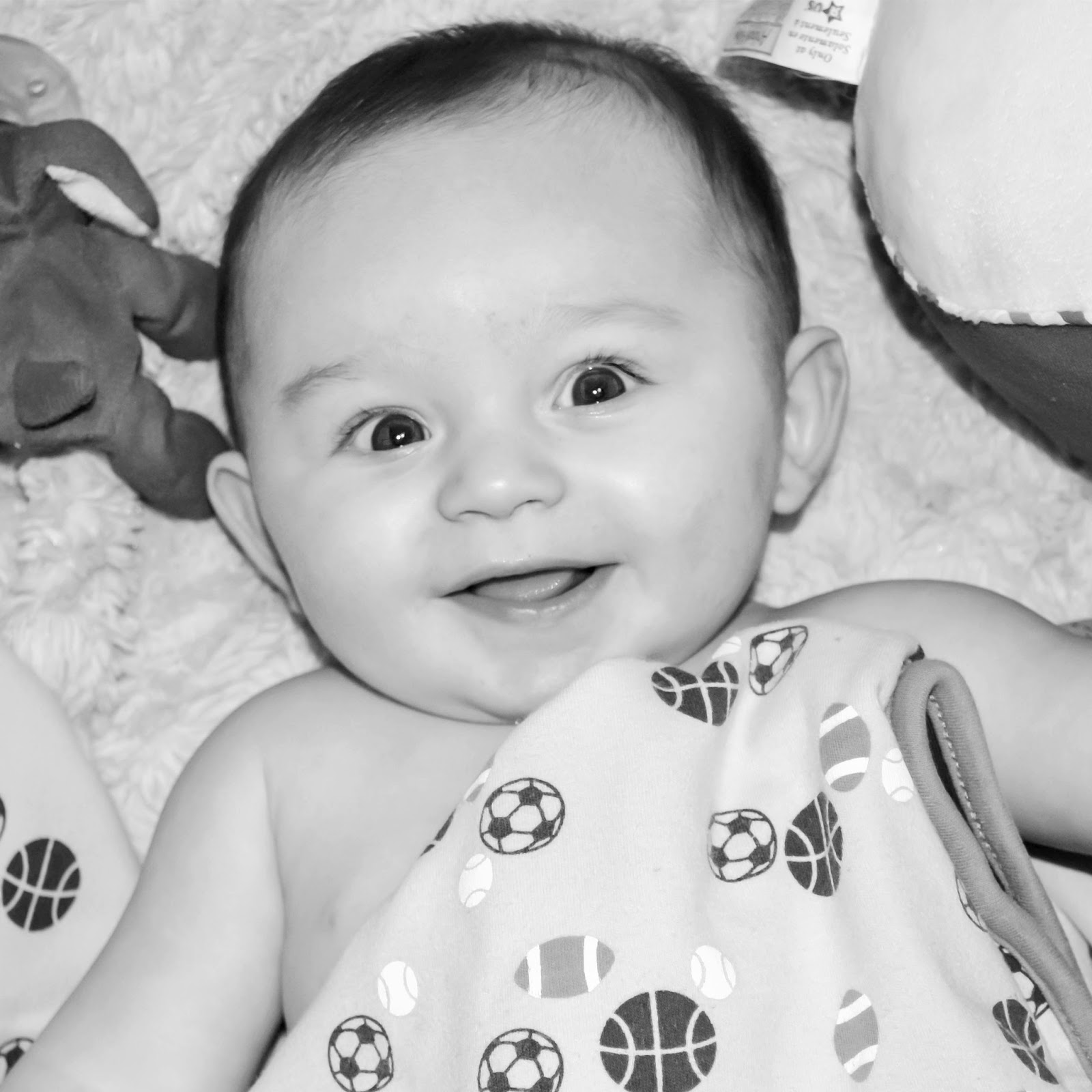 A SCRAPBOOK OF INSPIRATION: Spring, Sleds and Daydreaming