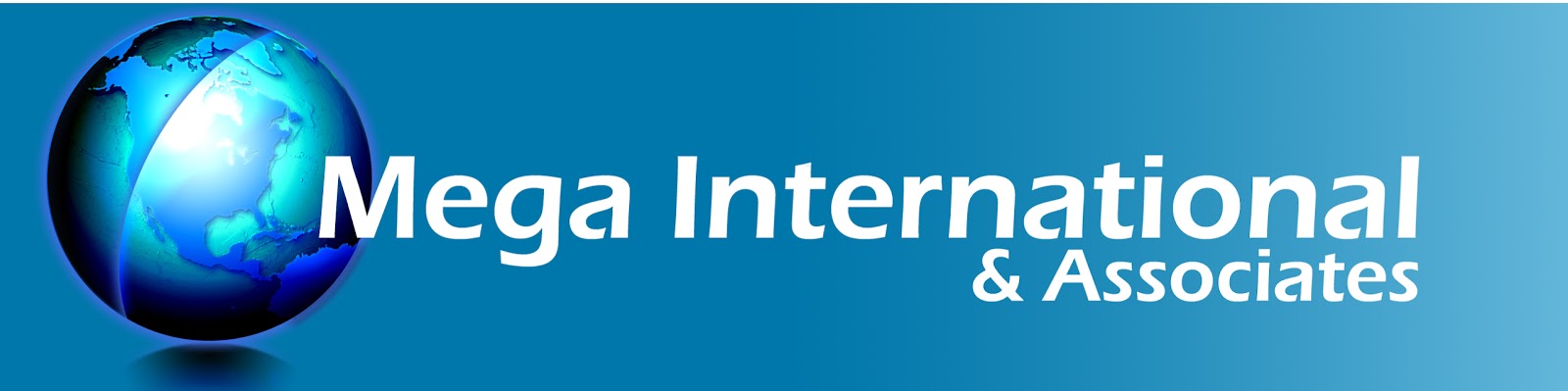 Mega International & Associates (Grant Proposal Guru & 501 (c) 3 ...