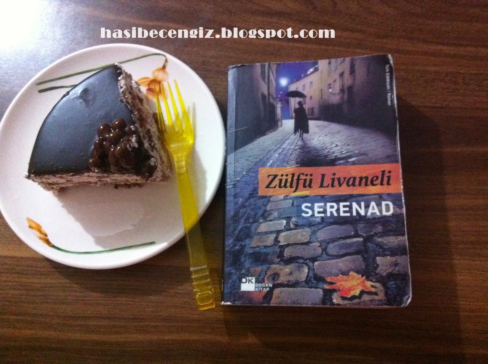 Kitap Eleştirisi : Serenad : Zülfü Livaneli - Hasibe CENGIZ | Kişisel Blog