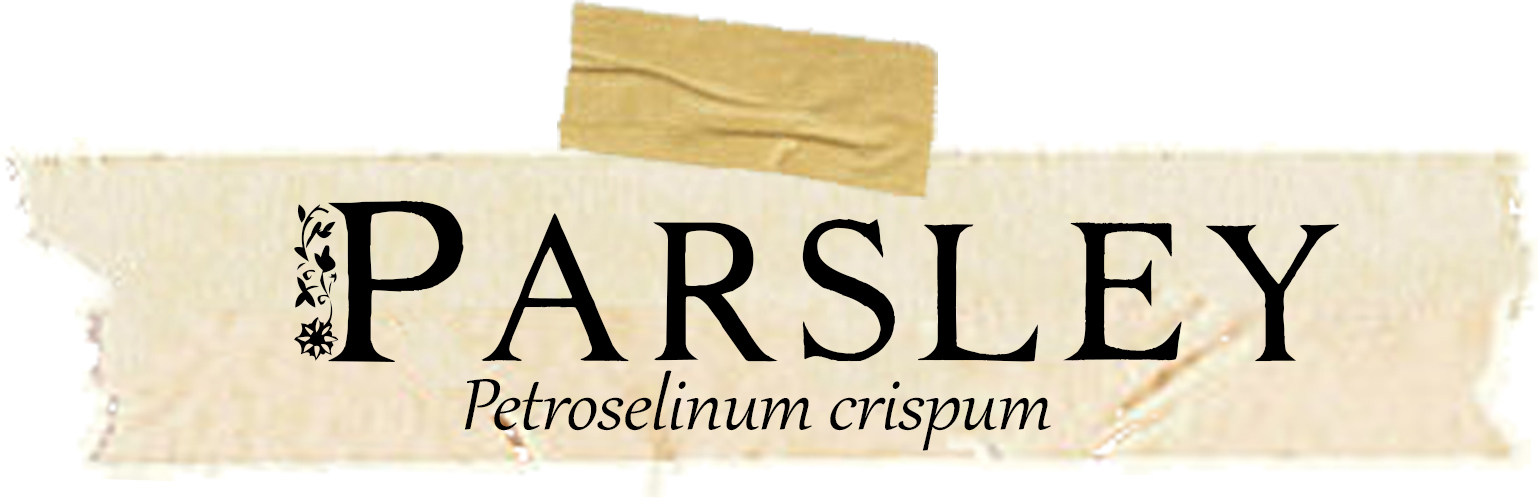 Flying the Hedge: Magical and Medicinal Uses of Parsley