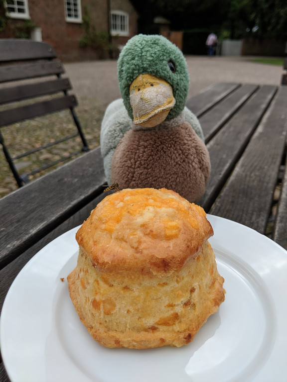 thequacksoflife: Freiston Church and Gunby Hall