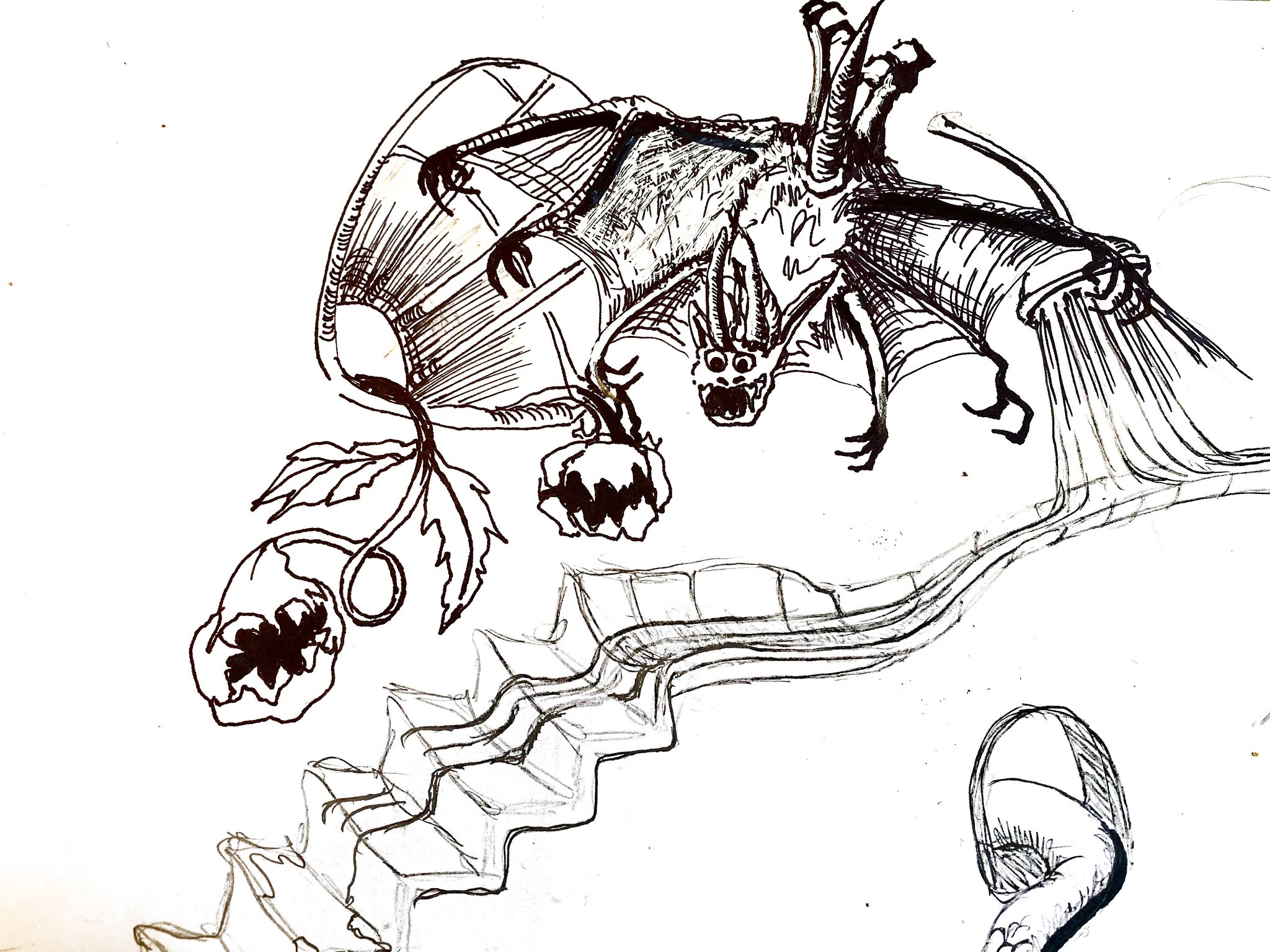 The Helpful Art Teacher