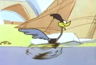 Road Runner Meep Meep Gif