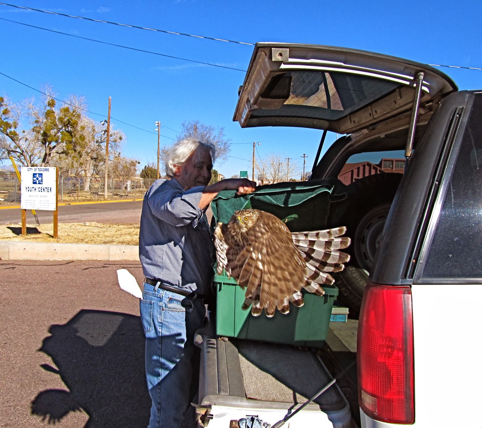 Stephen Bodio's Querencia: Release!