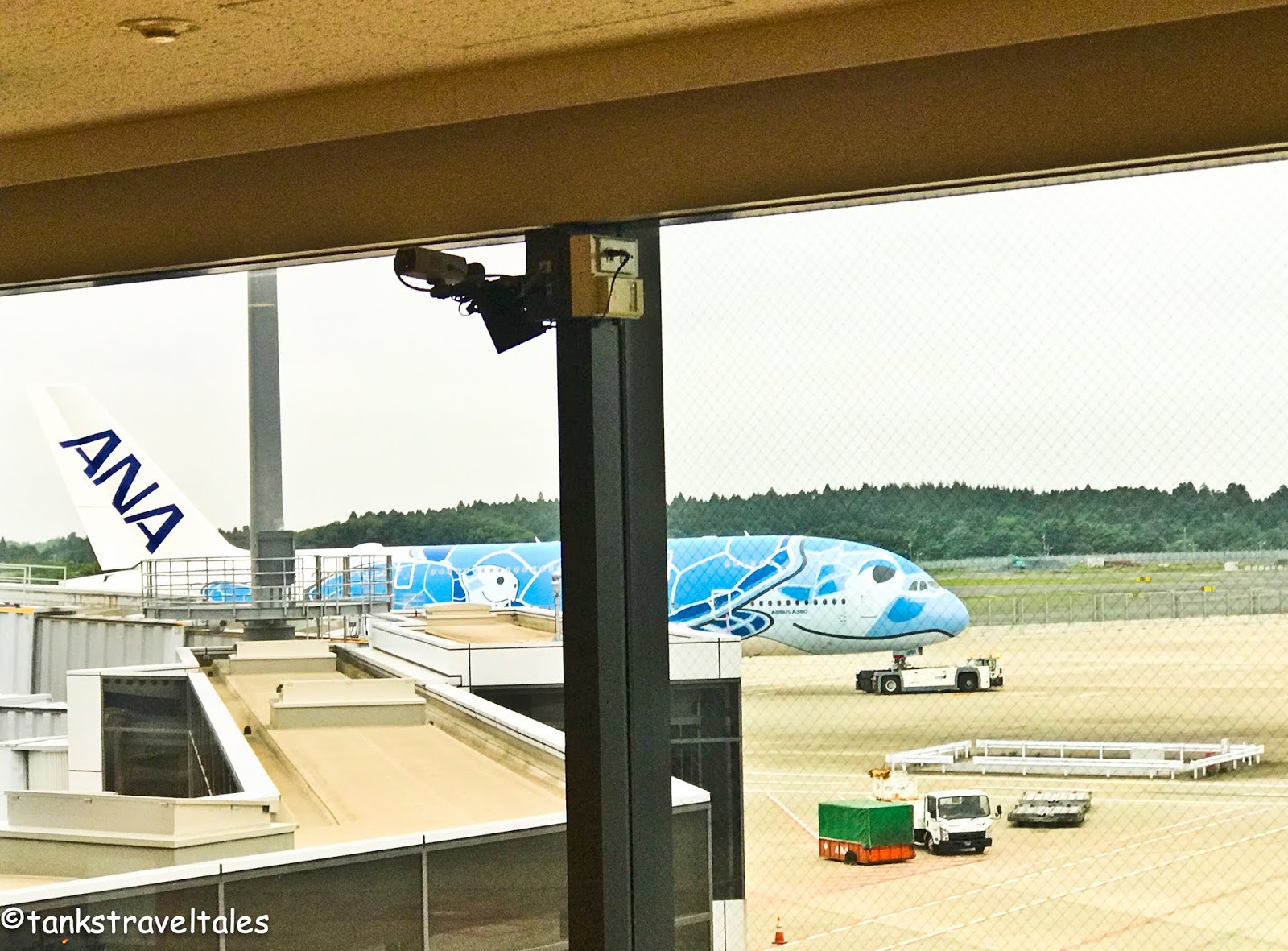 Airplane Pictures - ANA A380-800 with Turtle Livery