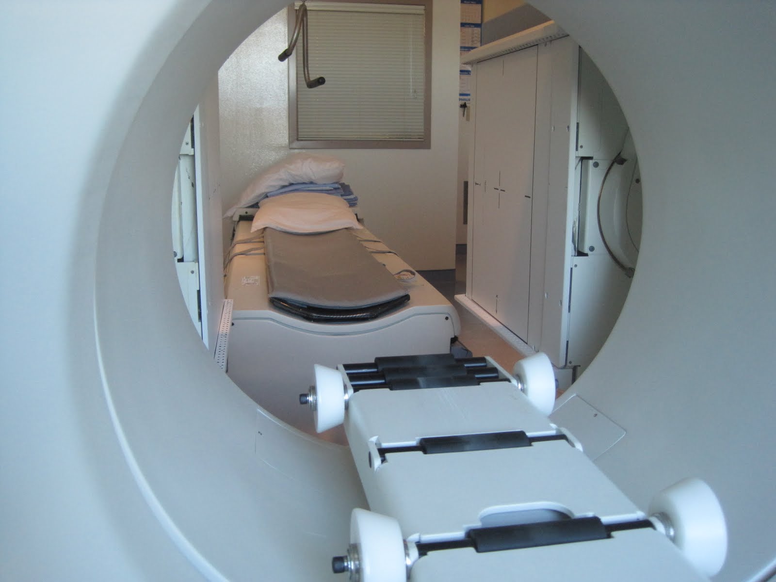 Blue Butterfly: Cool Scan Machine Photos