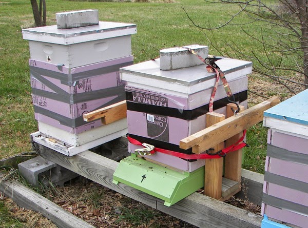 The Small Hold - Will Not Go Down Without a Fight: Moving Bee Hives ...