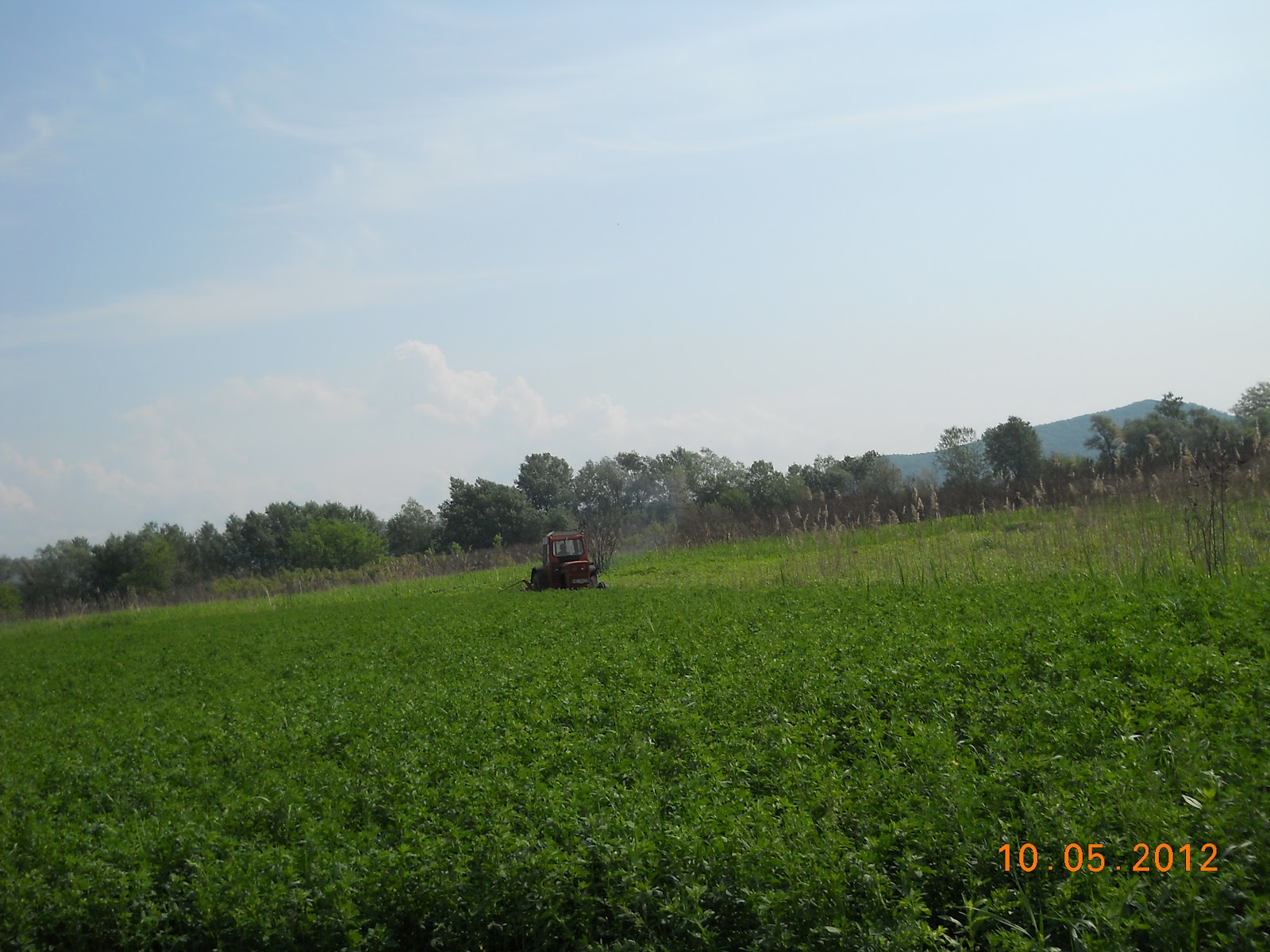 blogu lui florica: La cosit-ep.1