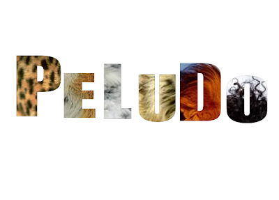 Una Idea Nueva: Nuestra Idea De Lo Que Significa La Palabra "Peludo":