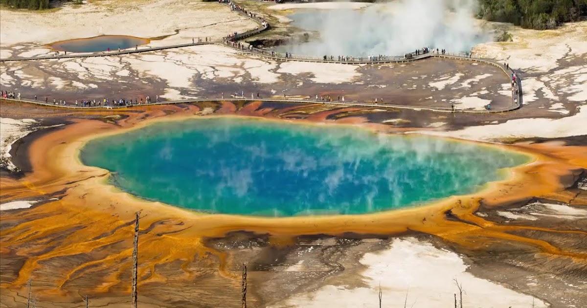 Arqueas: Arqueas: Termófilas, halófitas e metanogênicas.