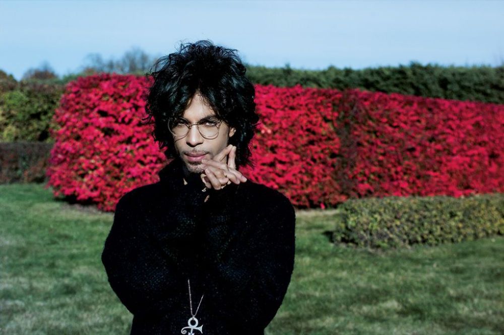 Lost Photos of Prince: Rare and Stunning Intimate Photographs of Prince ...