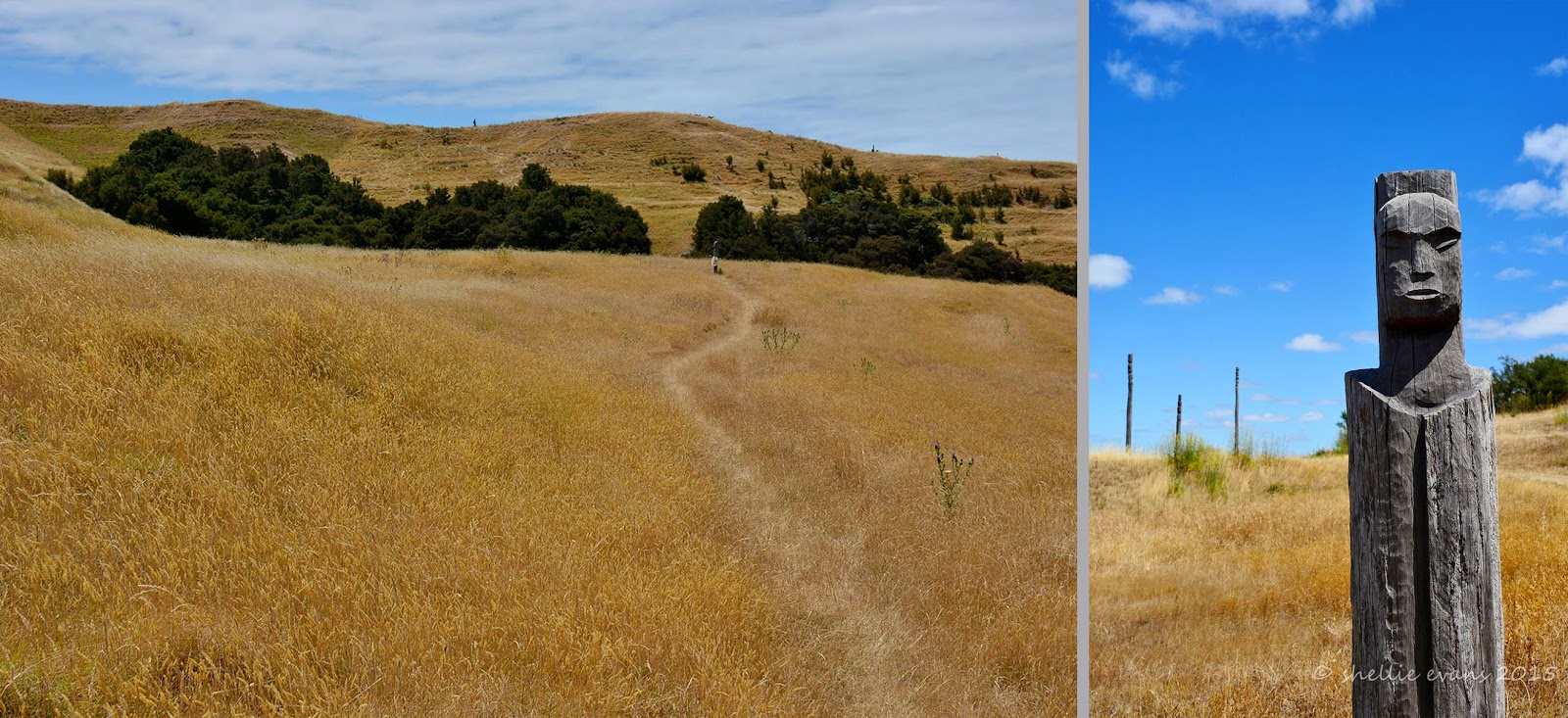 Two Go Tiki Touring: Otatara Pa, Taradale