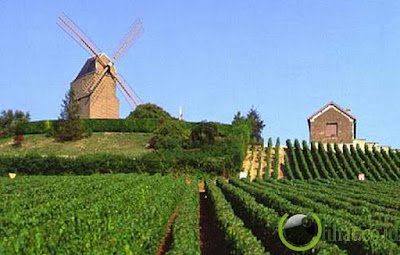 the most beautiful vineyards in the world ~ travell and culture