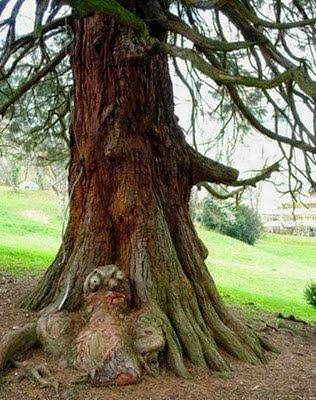 funny absurd: funny tree