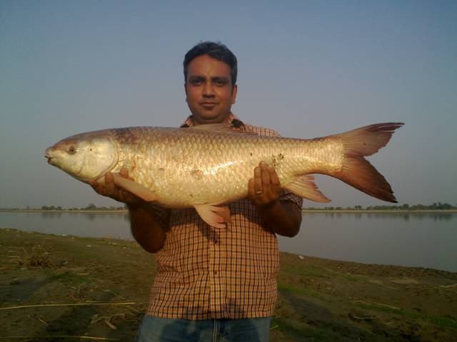 Fishing In Pakistan: Fishing In Pakistan Shaphan Samuel (Great Angler)