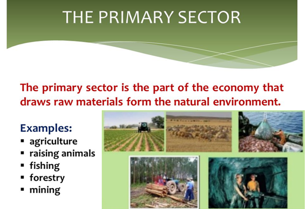 Learn with Jorge (5º Pasamonte): Answers Introduction + Primary Sector