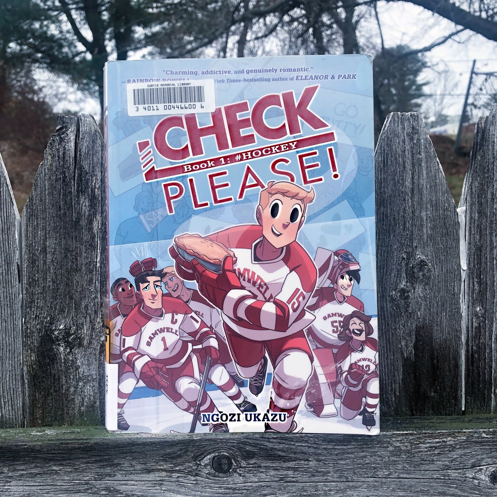 Heather's Reading Hideaway : [Graphic Novel Review] Check, Please! Book ...