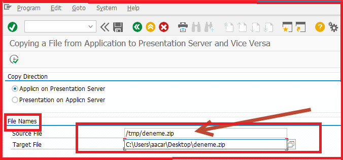 SAP ABAP FOR BEST PRACTICE AND TRAVEL RELATED GUIDE: AL11 ,CG3Y, CG3Z ...