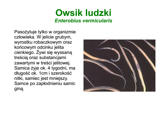 Mitoslavia: 12/09/16