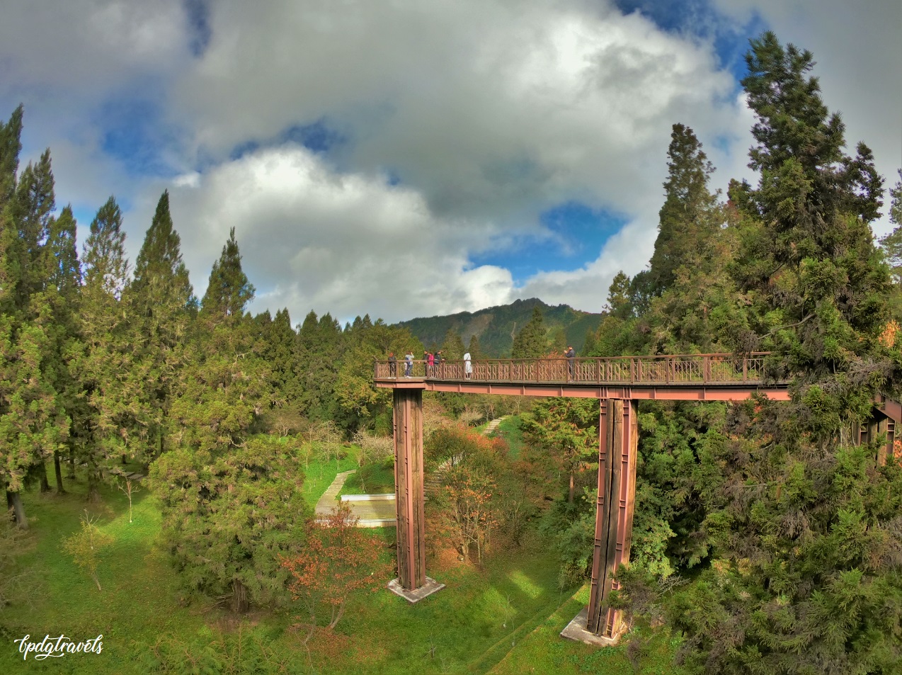 Taiwan Trip Day 6 - Alishan (阿里山) | Alishan National Forest ...