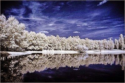100 Stunning Examples Of Infrared Photography: Infrared Photography