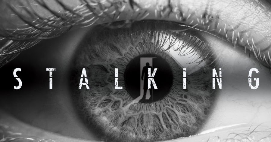 LAW EXPLORER: STALKING: NO WHERE TO HIDE