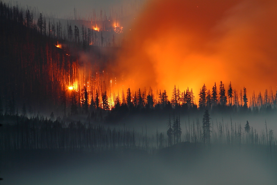 Ethan Erickson Photography: Shadow Lake Forest Fire