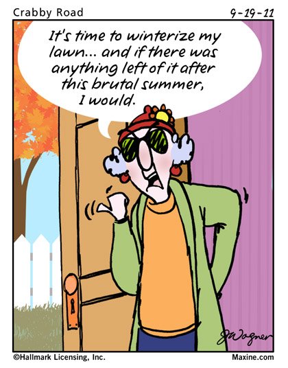 dnsyl57: Maxine on Autumn