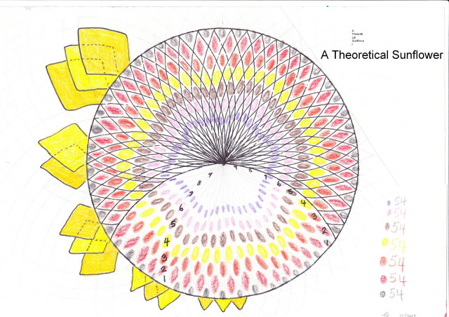 biomathcraft: Geometry of a Theoretical Sunflower
