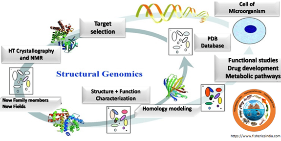 Tools and Applications of bioinformatics in fisheries science ...